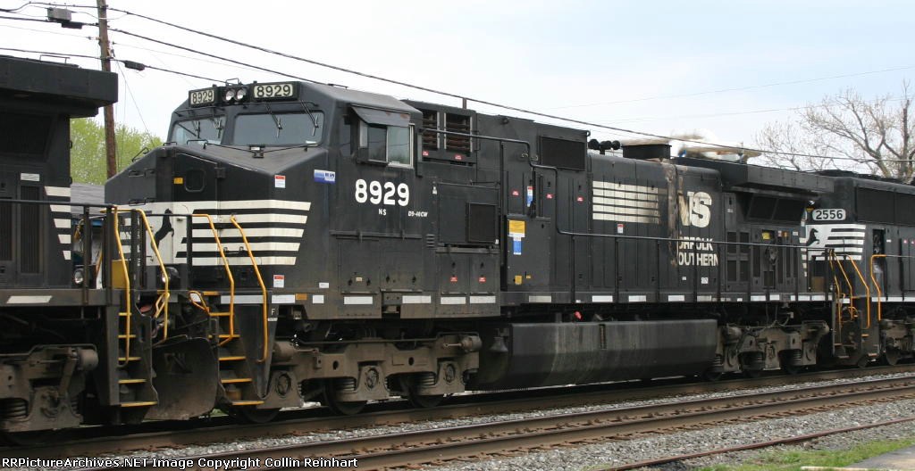 NS 8929